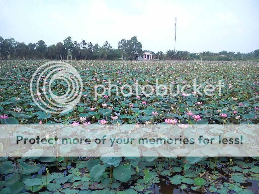 [Vui Chơi] – Đảo Dừa Lửa 2013 | FTU - CN22